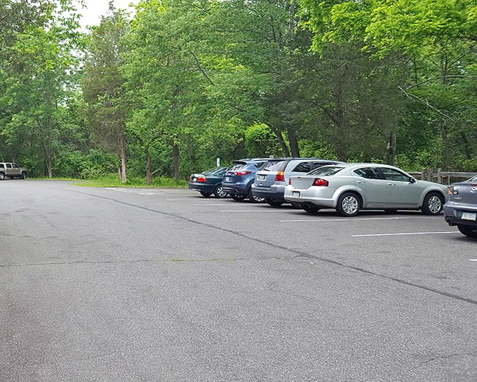 The parking lot—where adventures begin and air-conditioned comfort ends. Your chariot awaits the return of its intrepid explorer.