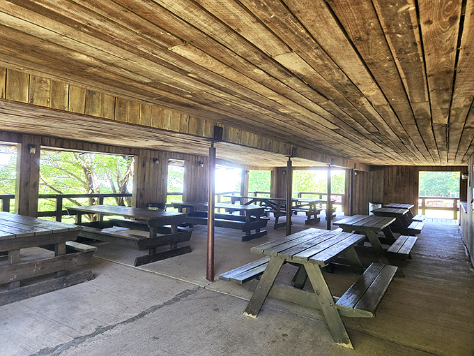 The covered pavilion offers mountain views that'll make you forget all about your smartphone.