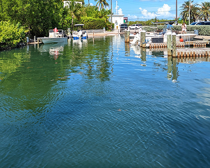 Boats bob gently in the marina, patiently waiting for tomorrow's adventure while you contemplate another sunset cocktail.