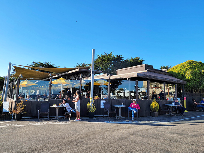 Outdoor dining with ocean breezes – where the sea salt in the air serves as nature's perfect seasoning for whatever's on your plate.