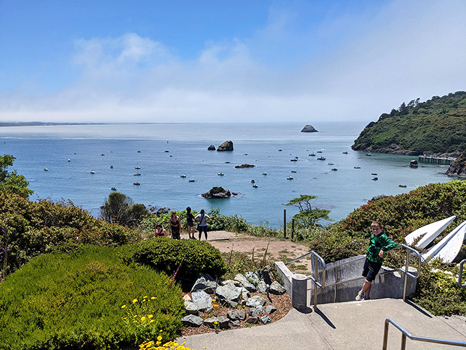 Million-dollar views without the price tag. These visitors didn't have to fight through crowds for this spectacular coastal panorama.