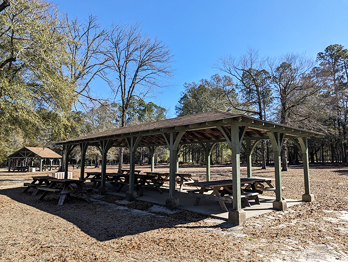 Dining al fresco with a side of history. These CCC-built picnic shelters have hosted generations of family gatherings and precisely zero food delivery apps.