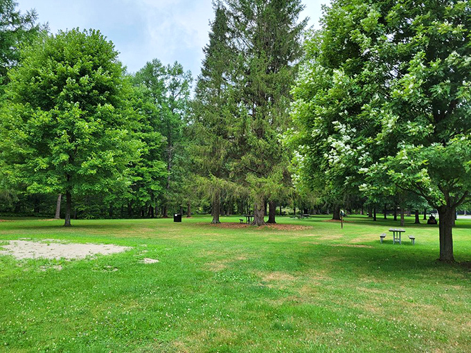 Towering trees create nature's perfect picnic canopy. This isn't fast food—it's slow food in the most glorious outdoor dining room imaginable.