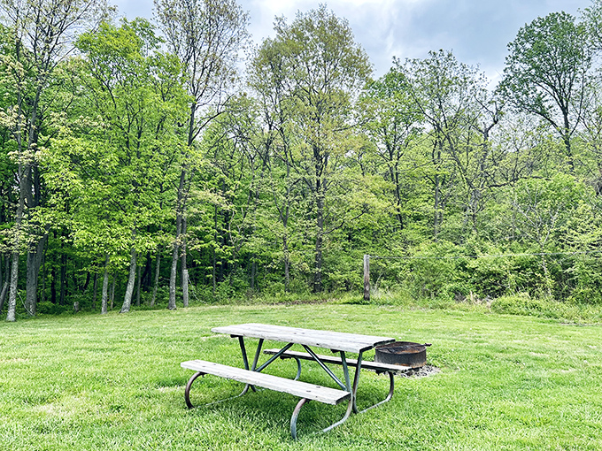 Nature's dining room awaits with the best view in town. This picnic spot offers the kind of ambiance fancy restaurants try desperately to recreate indoors.