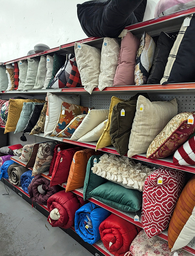 The pillow department: where comfort meets affordability. These cushions have stories to tell and naps to facilitate.