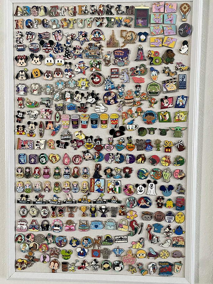 Disney pin collections showcase someone's theme park obsession turned into your potential decorating goldmine opportunity.
