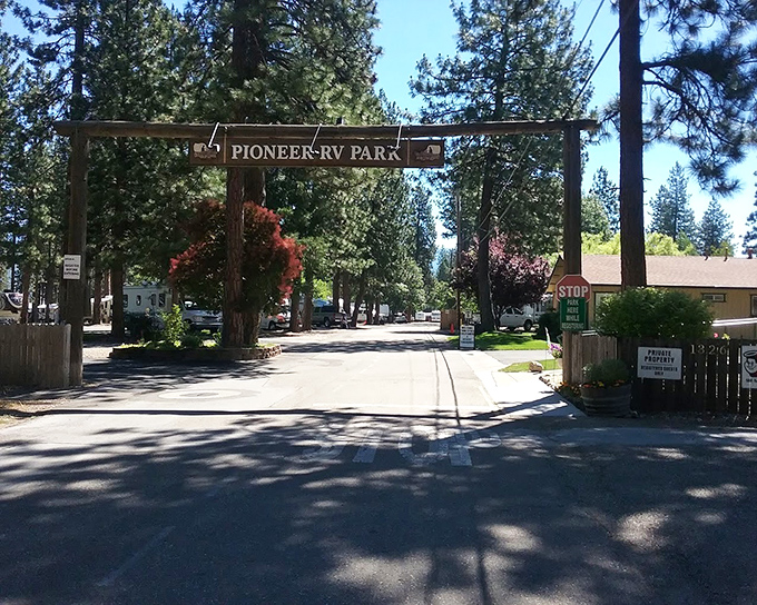 Mountain cabins offer rustic accommodations where WiFi competes with wilderness for your undivided attention.