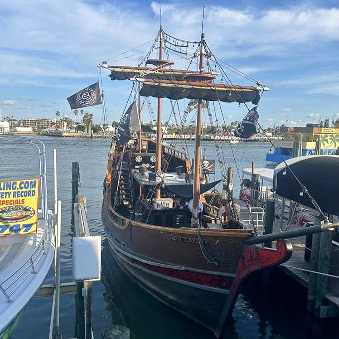 Not all treasure is silver and gold&mdash;sometimes it's the memory of sailing on a pirate ship with dolphins racing alongside.