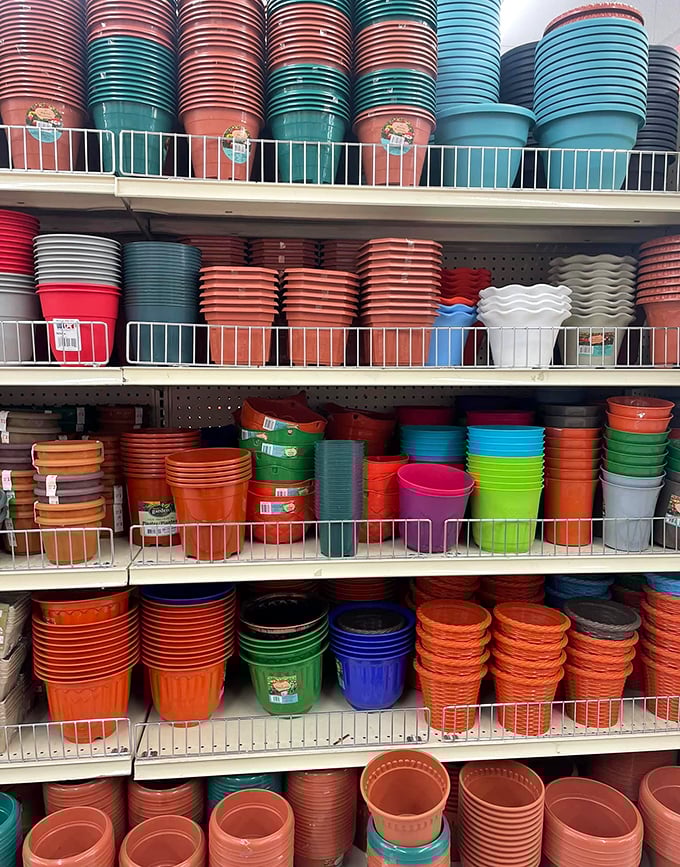 A terracotta army of gardening possibilities. These affordable pots stand ready to transform your patio into a botanical wonderland without the upscale garden center prices.