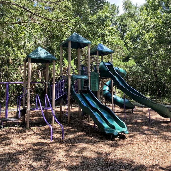 Where little explorers can burn energy while parents actually get to sit down.