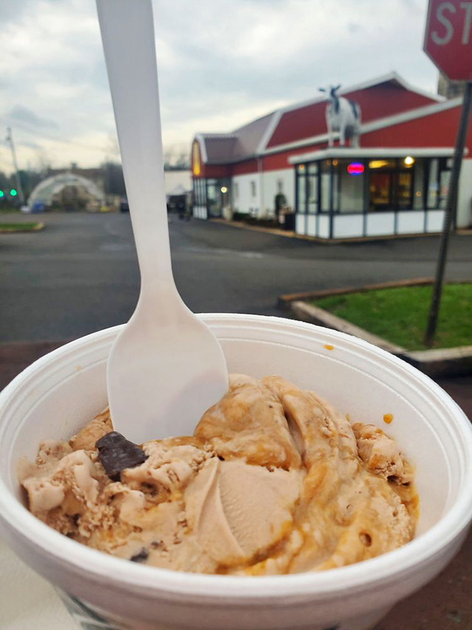 A scoop that would make Ben and Jerry nervously check their rearview mirror. Pennsylvania dairy at its finest, no passport required.