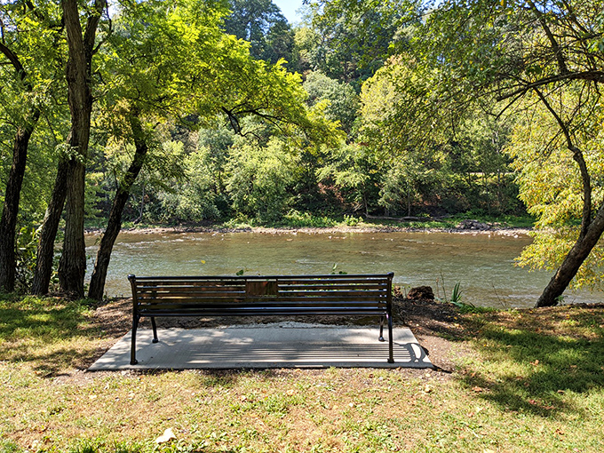 Nature provides the perfect backdrop for contemplation along the Kiski River, where this bench offers front-row seats to life's gentle current.