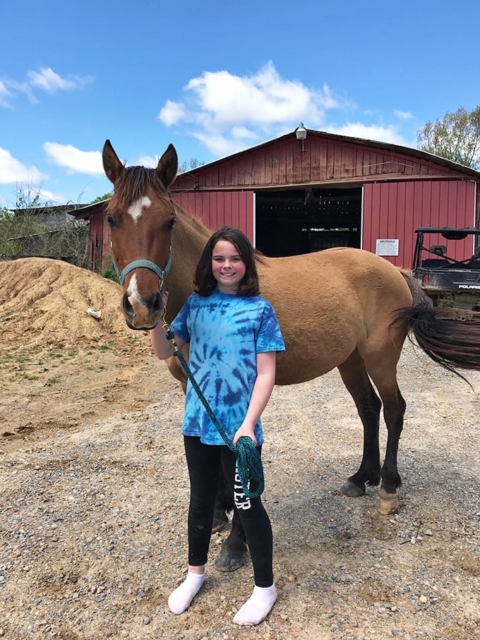 Rose O' Sharon Equine Farm brings together horses and humans in perfect harmony amid rolling pastoral beauty.