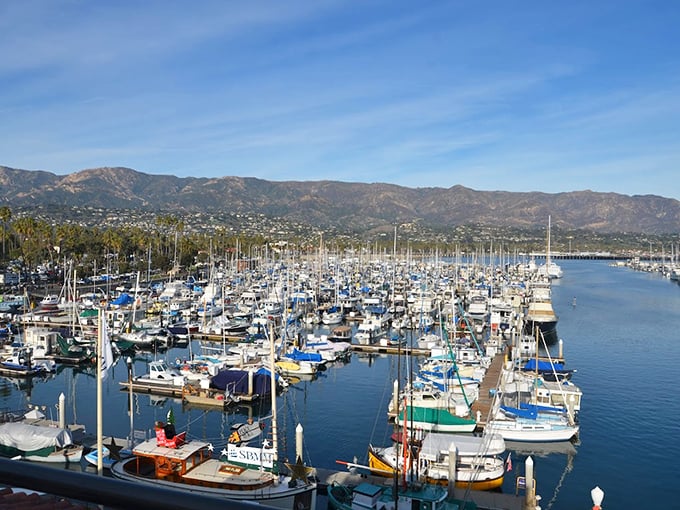 The harbor doesn't just park boats&mdash;it's where nautical dreams and second mortgages find common ground against a backdrop of perfect mountains.