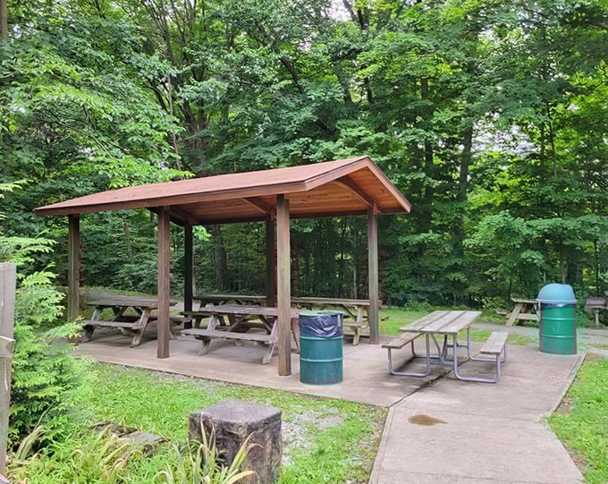 Even nature appreciates a good picnic spot. This sheltered area provides the perfect place to refuel before or after your waterfall wanderings.