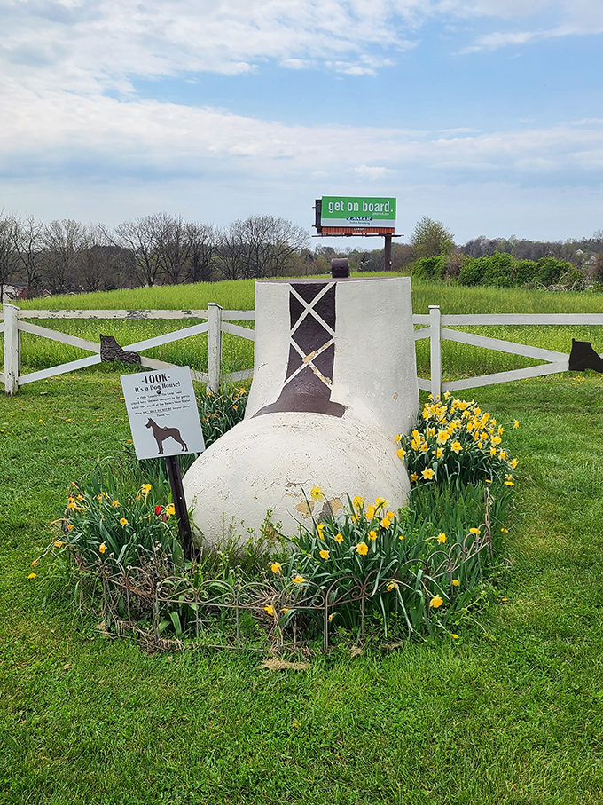 The shoe doghouse proves that even canine companions get the themed treatment. It's architectural consistency taken to delightfully obsessive levels.