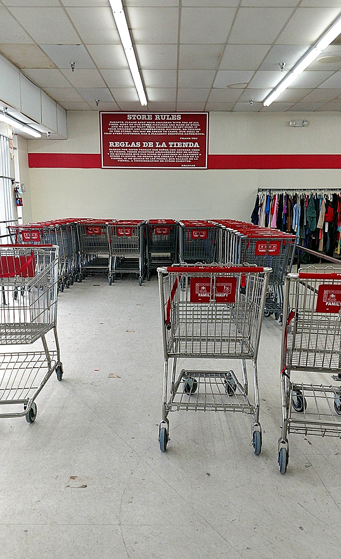 Shopping cart lineup&mdash;the thrifter's chariot of choice. Veterans know a good cart is as essential as a keen eye for quality fabrics.