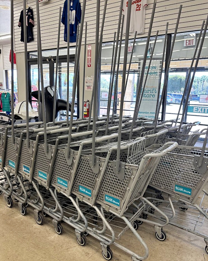 Shopping carts lined up like eager racehorses at the starting gate, ready to be filled with treasures that won't break the bank.