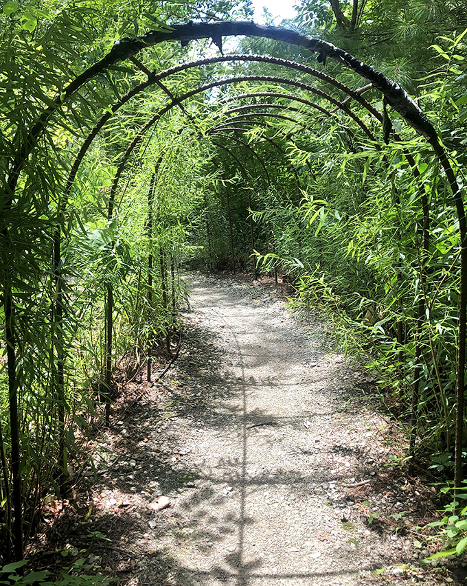 A bamboo tunnel creates a portal to another world. Walking through feels like entering a scene from "Crouching Tiger, Hidden Dragon"&mdash;minus the swordplay.