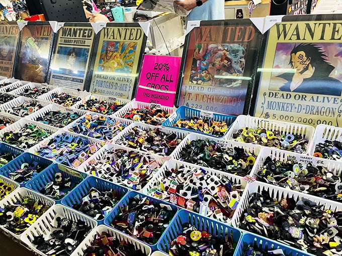 Tiny treasures organized in plastic kingdoms. One person's action figure clutter becomes another's nostalgic collection starter.