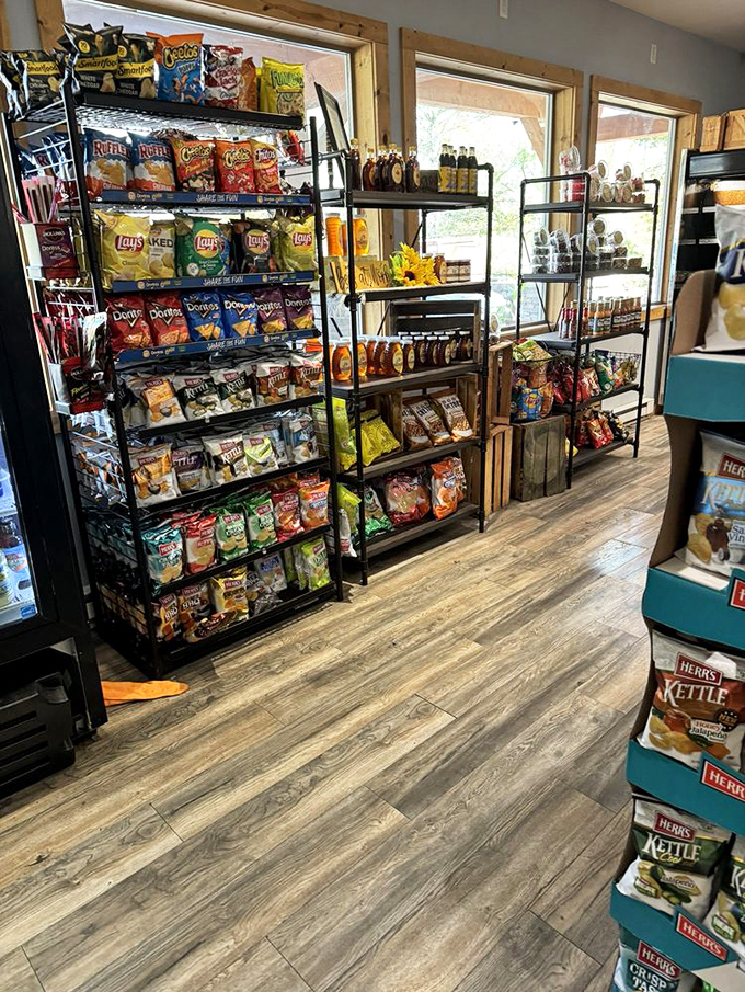 Chip paradise! This snack selection could solve any road trip emergency or late-night craving faster than you can say "just one more handful."