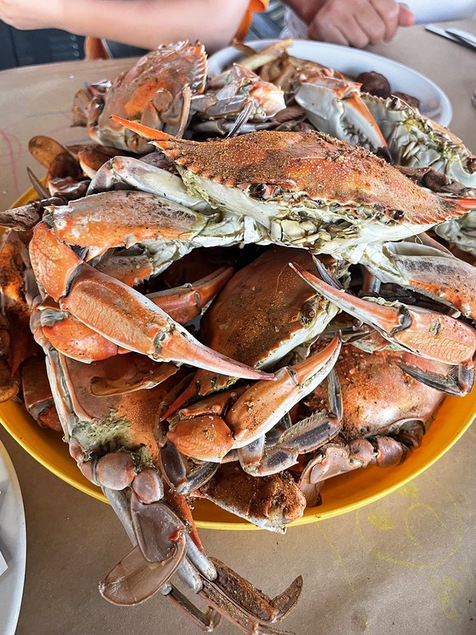 A mountain of steamed crabs dusted with spice&mdash;nature's puzzle boxes filled with sweet meat that rewards those patient enough to crack the code.