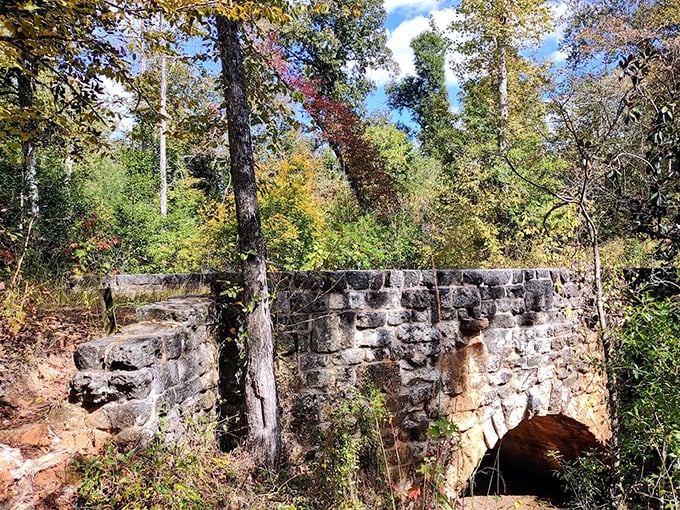 This stone bridge wasn't built for Instagram, but it certainly deserves the filters. Civil-era craftsmanship that puts modern IKEA assembly to shame.