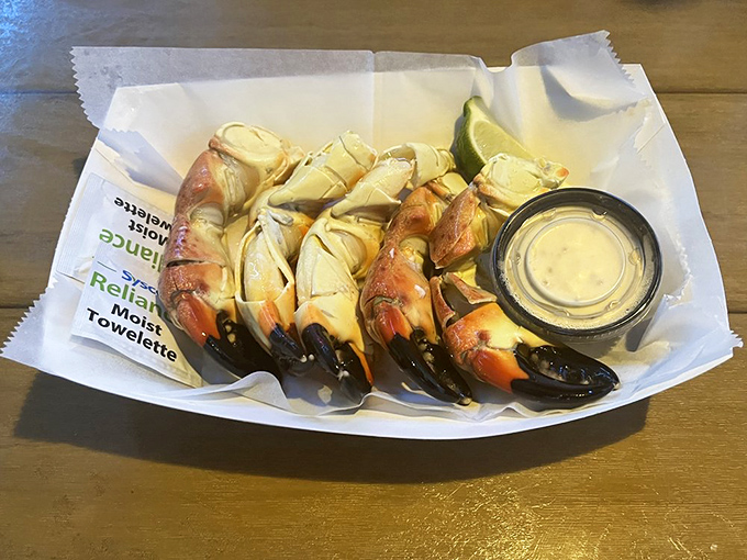 Stone crab claws arranged like a delicious fan club. Sweet meat that makes the effort of cracking totally worth it.