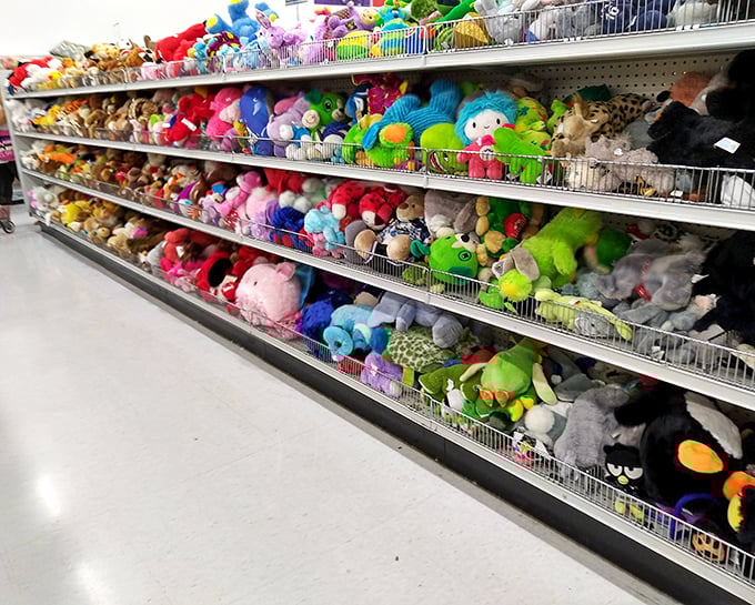 Stuffed animal adoption center extraordinaire! These gently loved fuzzy friends are lined up like hopeful contestants on a particularly cuddly episode of "The Bachelor."