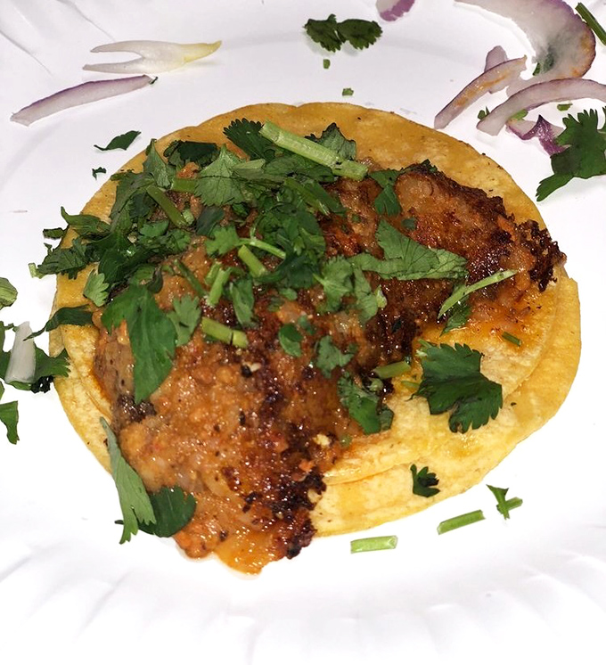 A simple taco that proves greatness needs no fanfare—just a perfect tortilla, well-seasoned filling, and a sprinkle of fresh cilantro.