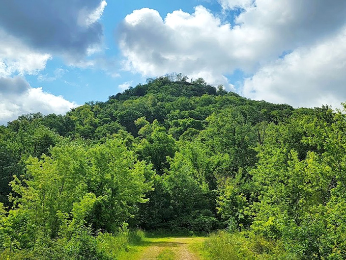 Trempealeau Mountain rises from the river like Wisconsin's answer to Machu Picchu. Ancient, mysterious, and absolutely worth the climb.