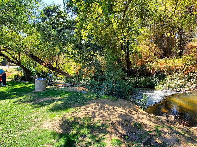 A creek-side retreat where the soundtrack is rushing water and rustling leaves. Nature's spa day without the cucumber water.