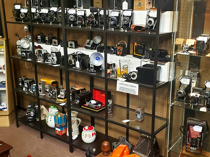 Mechanical time machines line these shelves, vintage cameras that once captured family vacations and first steps long before selfies existed.