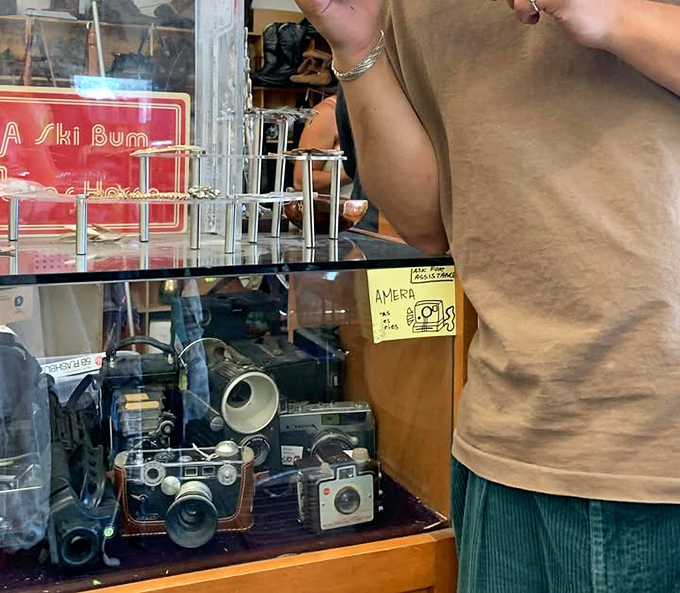 Vintage cameras that captured someone else's memories now wait to become your conversation piece. That Argus C3 has more stories than your uncle after three beers. 