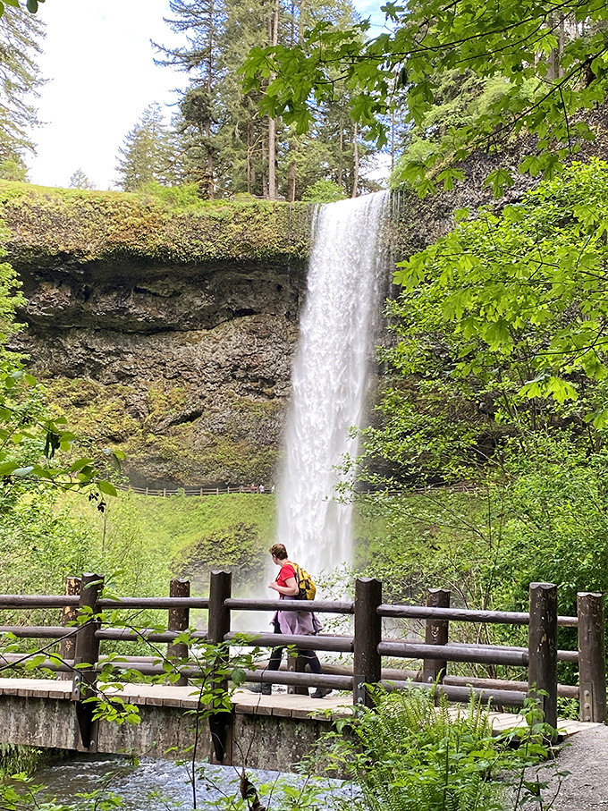 Red jacket, epic backdrop. Some vacation photos don't need filters—just add waterfall and stir for instant social media envy.
