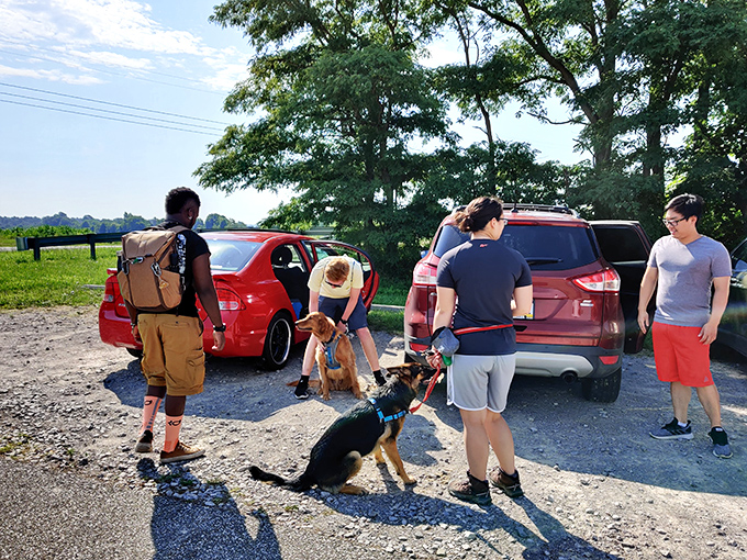 The real pre-hike ritual: friends, dogs, and that moment of anticipation before trading parking lot pavement for wilderness wonder.