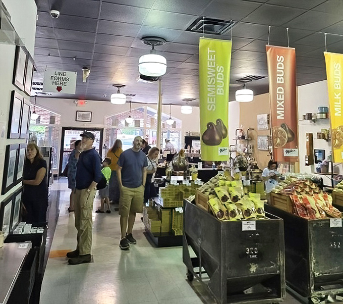 Chocolate pilgrims navigating their sweet journey. The colorful banners overhead serve as delicious road signs on this most tasty of adventures.