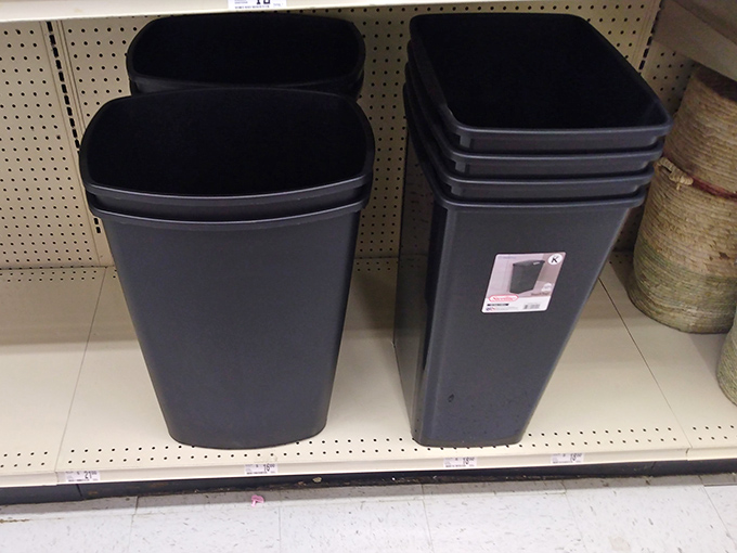 Even wastebaskets get the discount treatment, proving Big Lots understands that adulting means getting excited about practical purchases that used to bore you.
