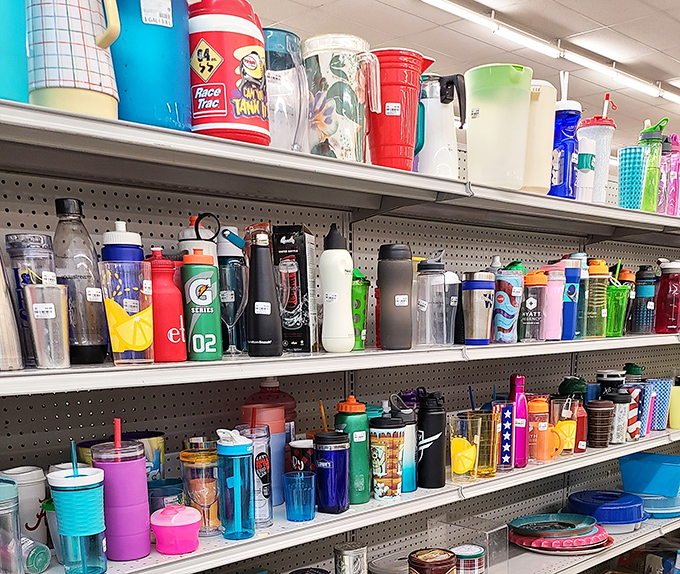 The water bottle collection rivals any fitness influencer's cabinet. Hydration options from sporty to sophisticated, all without the boutique markup.