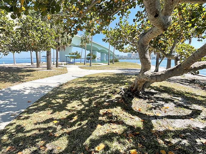 The Ringling Causeway Park frames Sarasota Bay with artistic curves &ndash; where modern architecture and natural beauty create Florida's version of a perfect marriage.