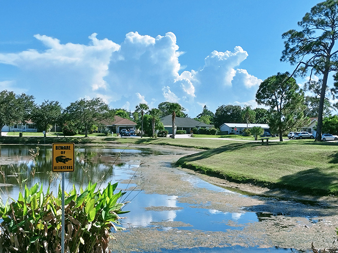 "Beware of Alligators" isn't just a warning sign—it's Florida's version of authentic local color. Suburban living with prehistoric neighbors keeps life interesting in Port St. Lucie.