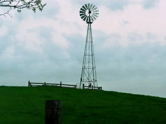 This windmill isn't just Instagram bait—it's actually working. Sustainable energy before it was cool, standing sentinel over emerald fields.