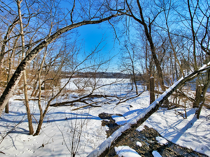 Winter transforms Hayden Falls into a snow globe come to life. The frozen landscape offers a completely different&mdash;but equally magical&mdash;experience.