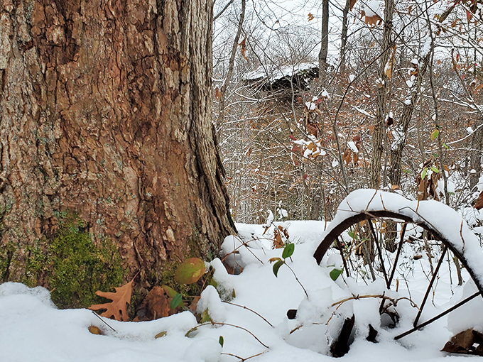 Snow blankets the forest floor while a wheel from yesteryear peeks through, creating a winter tableau straight from a Currier and Ives print.