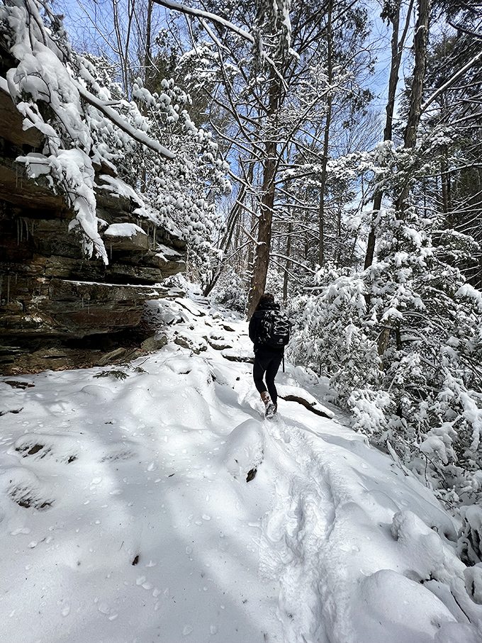 Winter transforms familiar trails into magical passages. Snow-laden branches create nature's cathedral ceilings over Hickory Run's hiking paths.