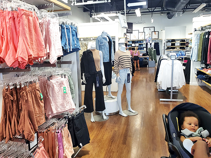 Women's fashion that proves looking fabulous doesn't require a trust fund anymore.