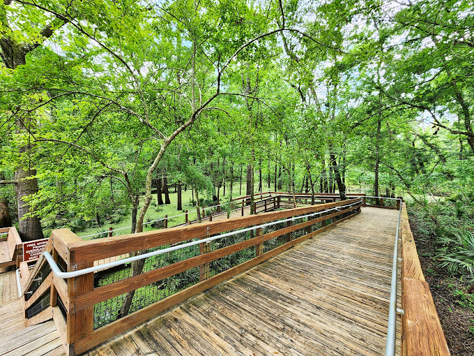 This boardwalk leads to nature's VIP section, no velvet rope required.