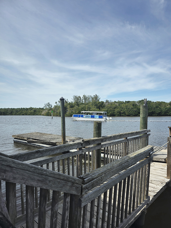 The view from City Seafood's dock reminds you that your lunch probably swam nearby just hours ago. Talk about food with a sense of place!