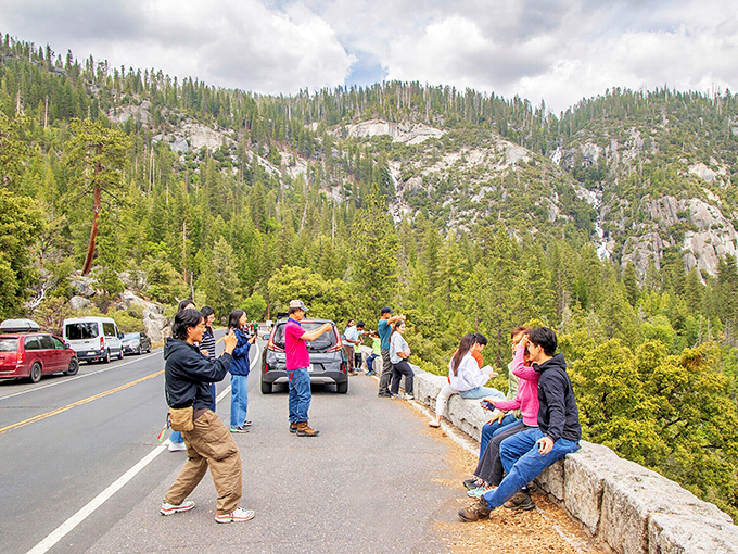 Yosemite's roadside viewpoints: where tourists inadvertently create the world's most scenic parking lot while capturing that perfect panorama for social media.
