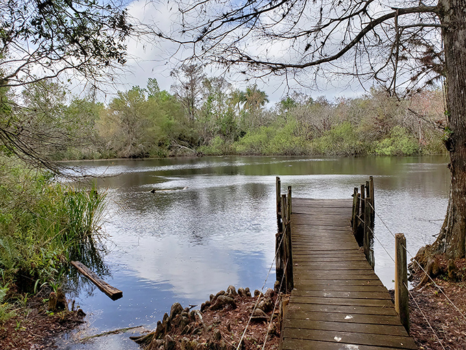 This humble dock invites contemplation and exceptional photography. Nature's version of a front-row seat to the greatest show on earth.